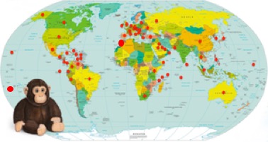 The Story of Kongo – Travel Monkey